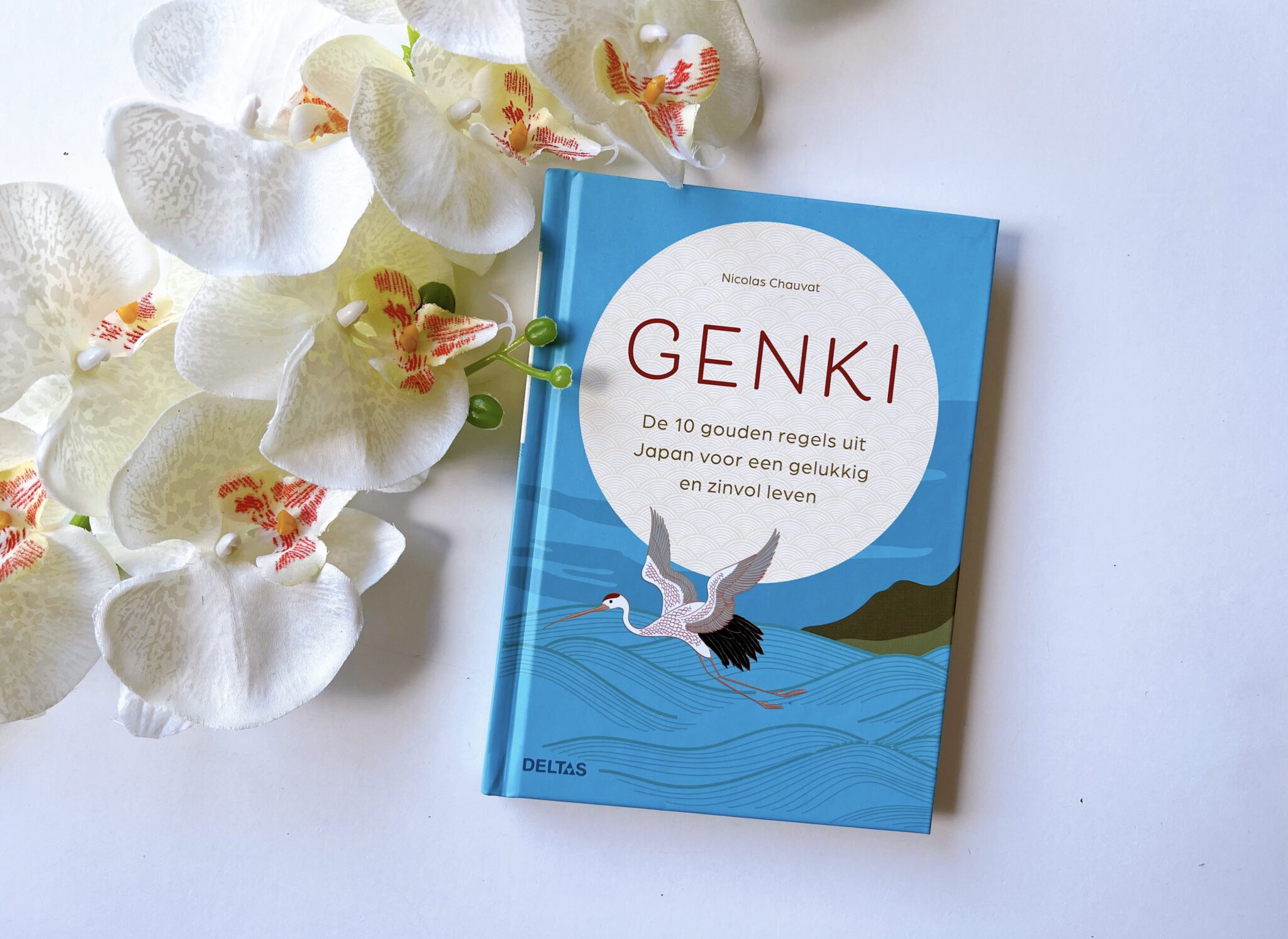 Genki! - Stéfani gets fit