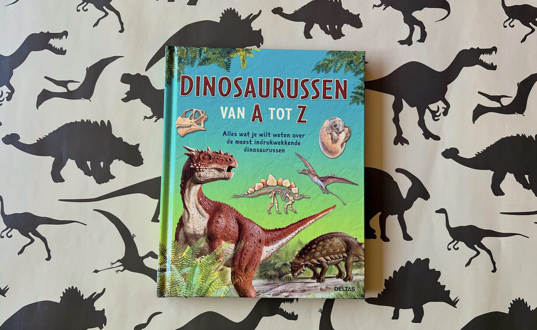 Dinosaurussen van A tot Z - Stéfani gets fit