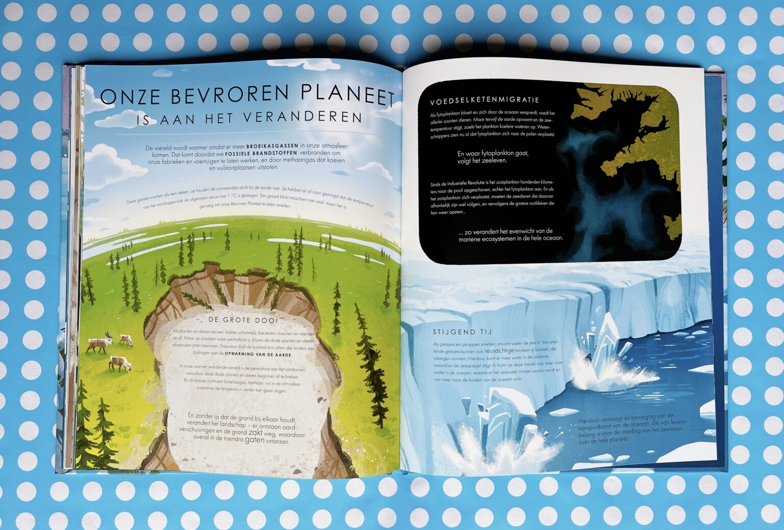 Bevroren planeet - Stéfani gets fit